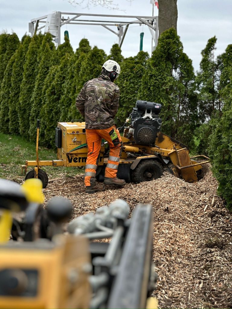 Stump Grinding – Timberwolf Tree Cuts